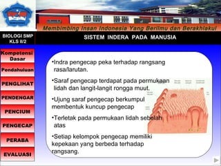 Perasa | PPT
