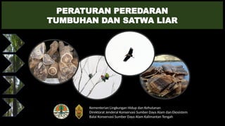 Peraturan Peredaran TSL dilindungi oleh undang undang.pptx