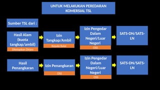 Peraturan Peredaran TSL dilindungi oleh undang undang.pptx
