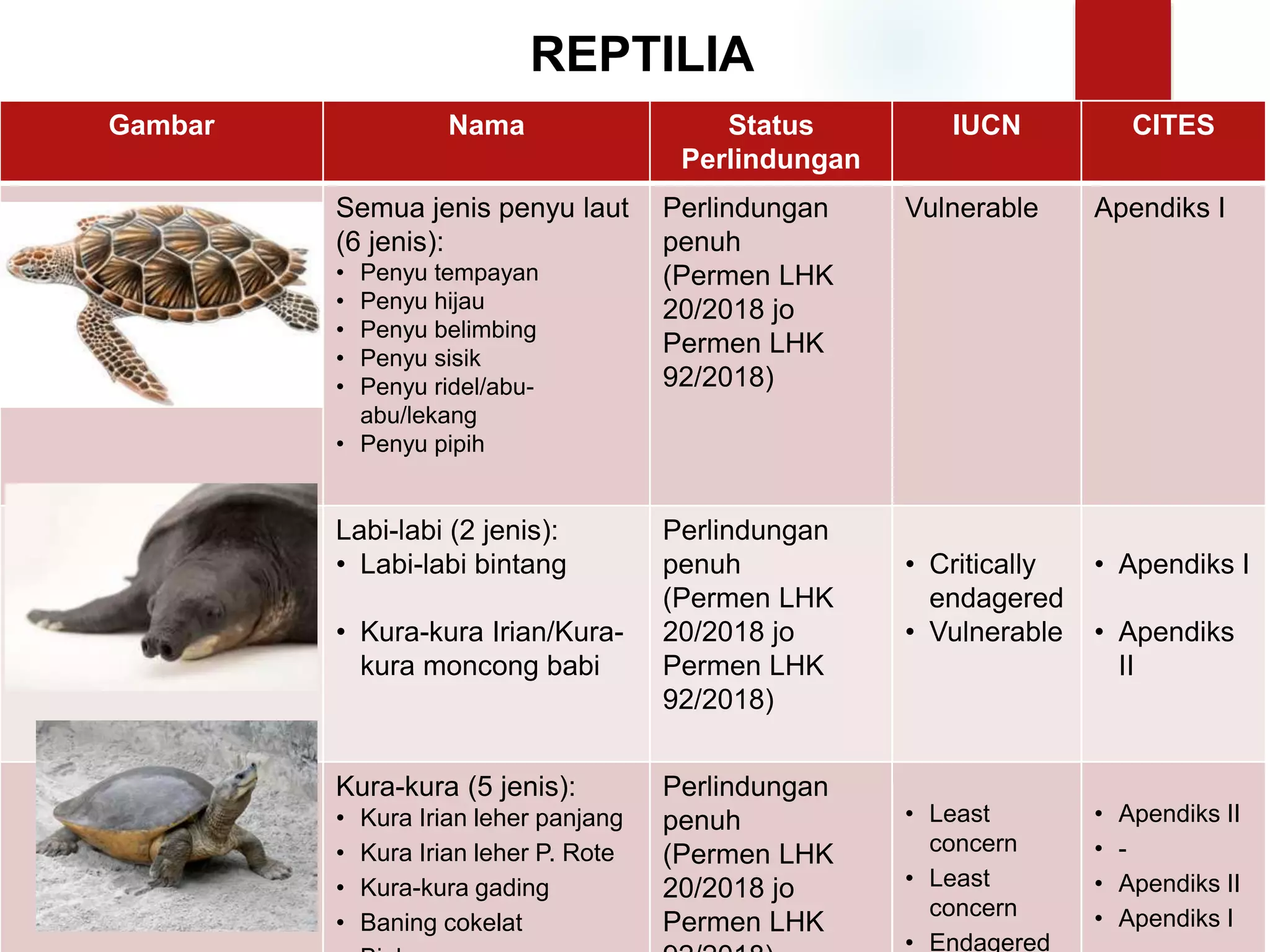 Peraturan terkait biota laut yang dilindungi | PPTX