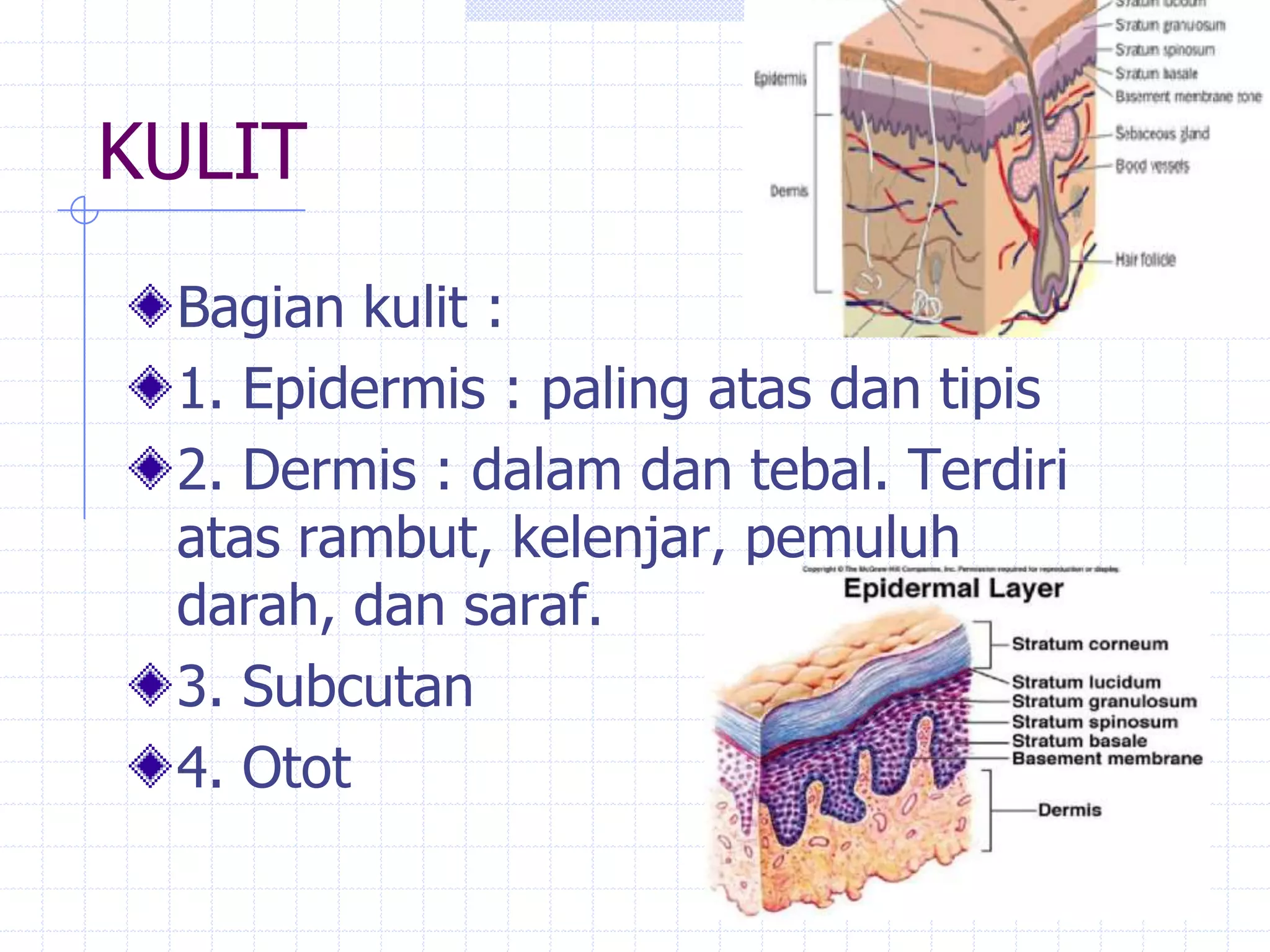 Perawatan luka | PPTX
