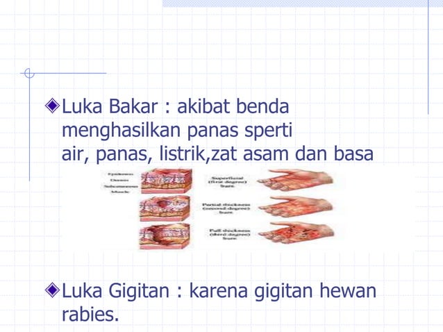 Perawatan luka | PPTX