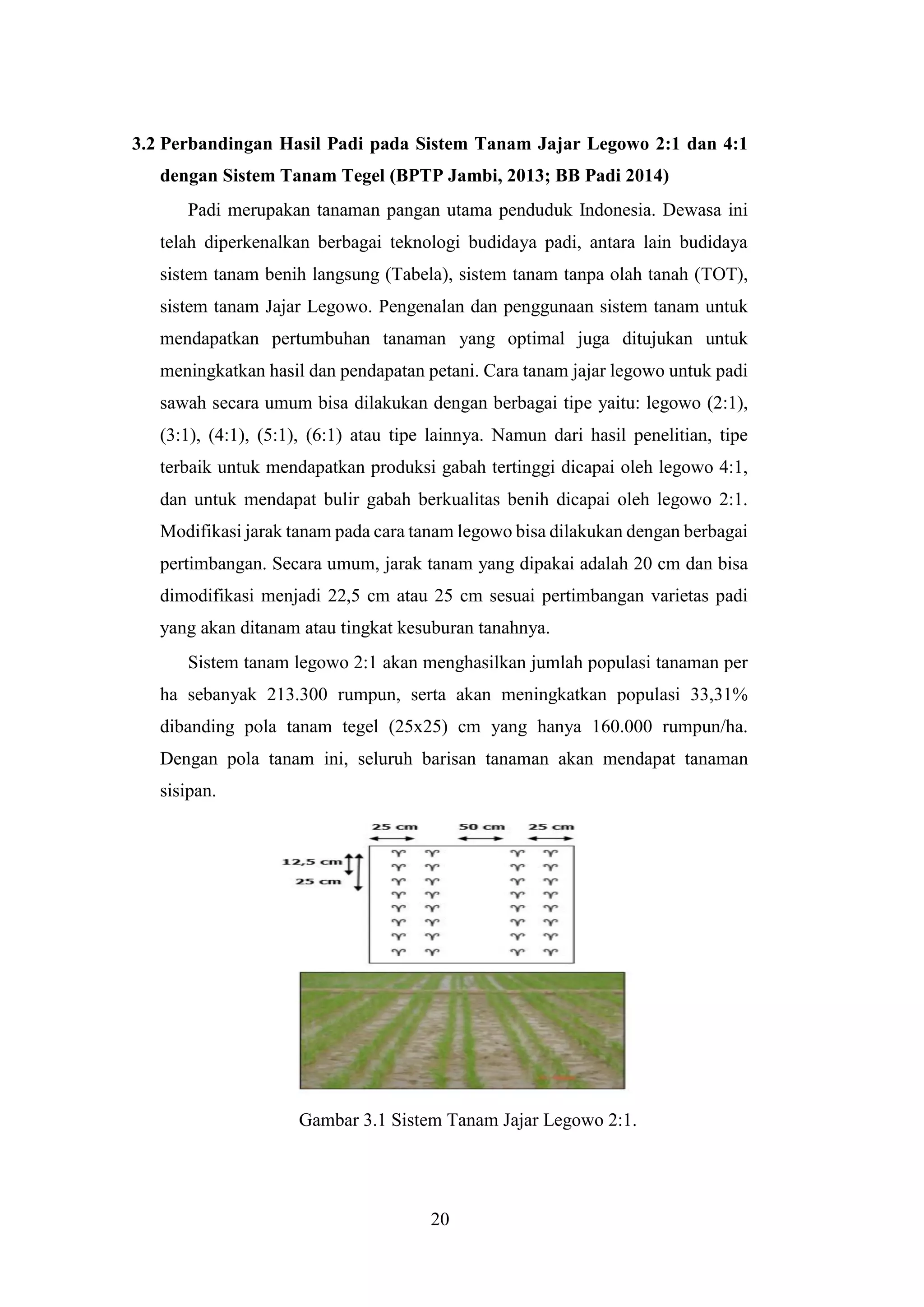 Pengaruh Kerapatan Tanaman terhadap Jumlah Hasil Produksi Padi (Oryza sativa L.) pada Berbagai ...