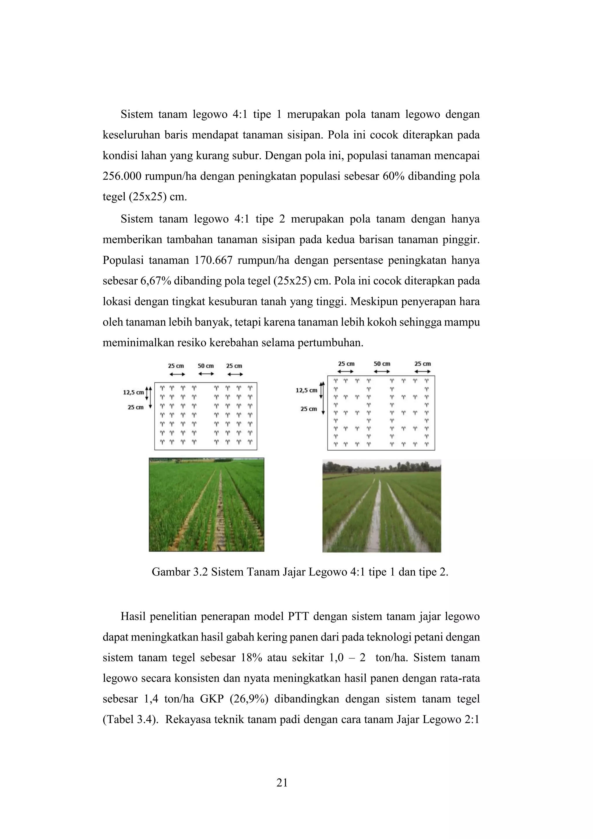 Pengaruh Kerapatan Tanaman terhadap Jumlah Hasil Produksi Padi (Oryza sativa L.) pada Berbagai ...