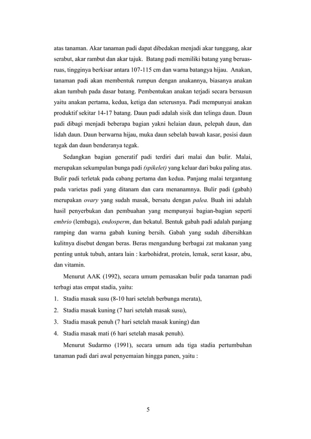 Pengaruh Kerapatan Tanaman terhadap Jumlah Hasil Produksi Padi (Oryza sativa L.) pada Berbagai ...