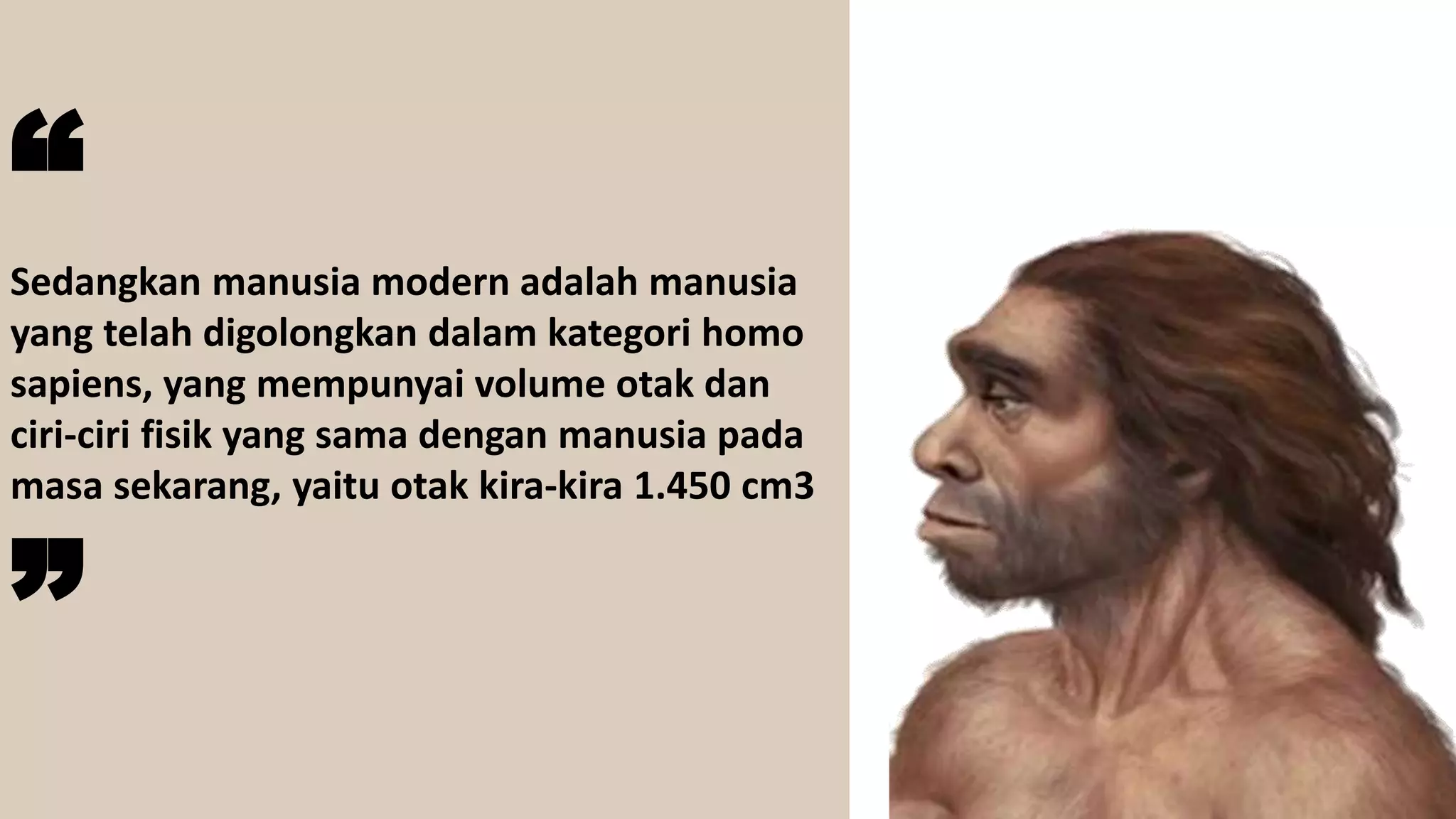 Perbandingan manusia purba dan manusia modern | PPTX
