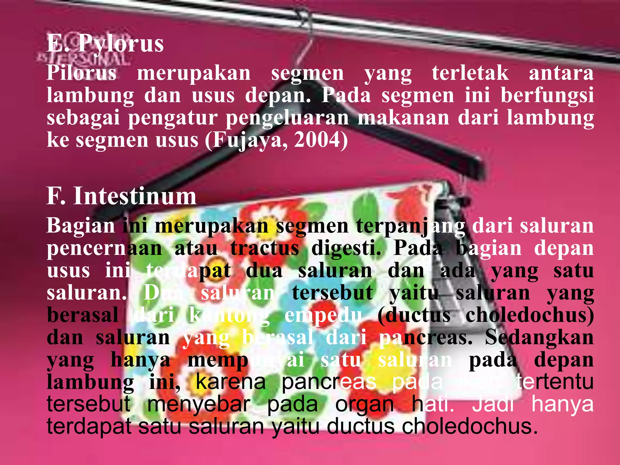 Perbandingan sistem digestivus pisces & amphibi | PPTX