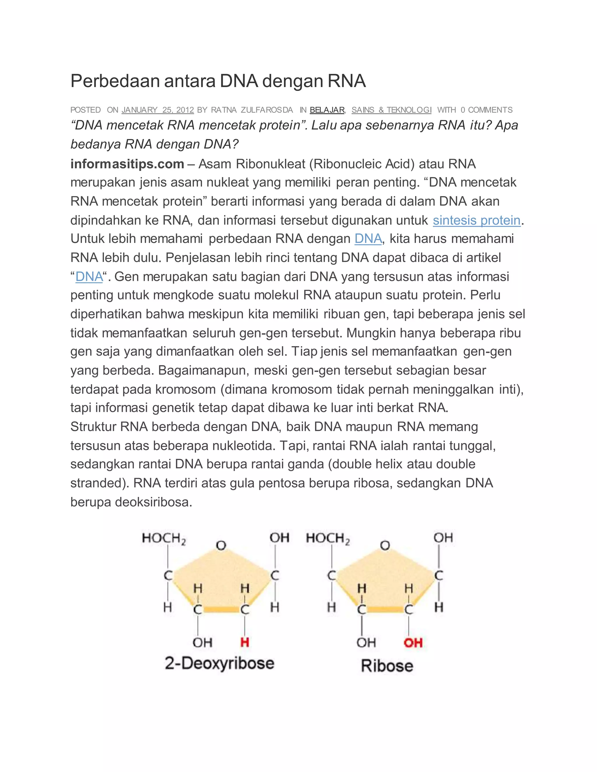 Perbedaan antara dna dengan rna | DOCX
