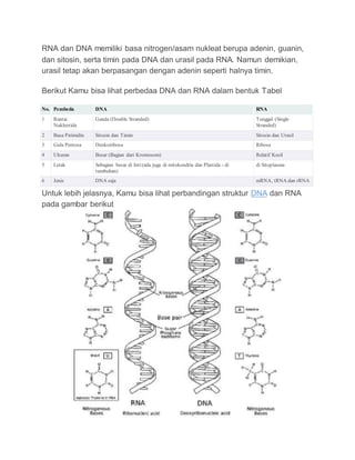 Perbedaan antara dna dengan rna | DOCX