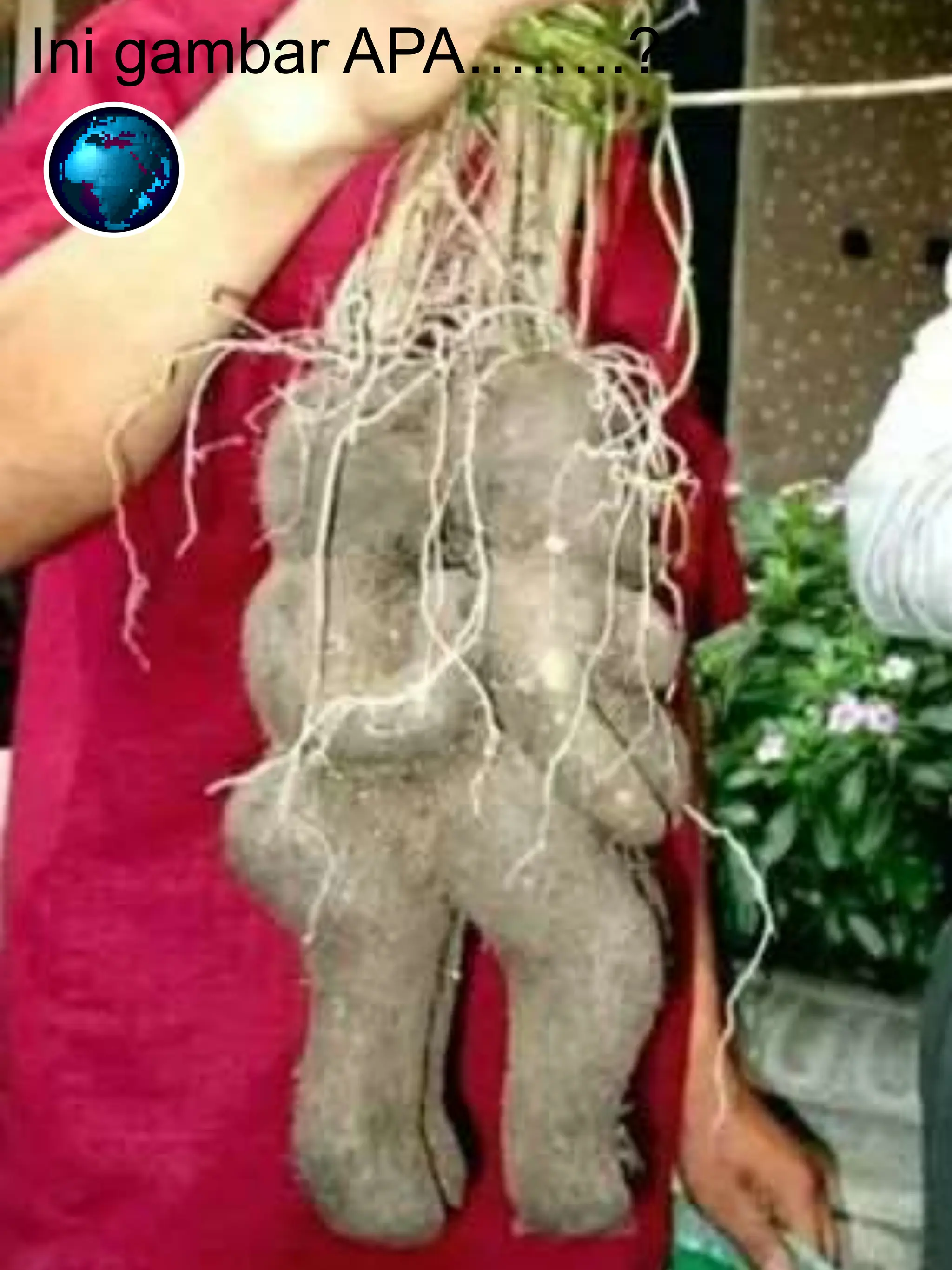 Perbedaan CARA PANDANG _Training "Effective MARKETING and PERSONAL ...