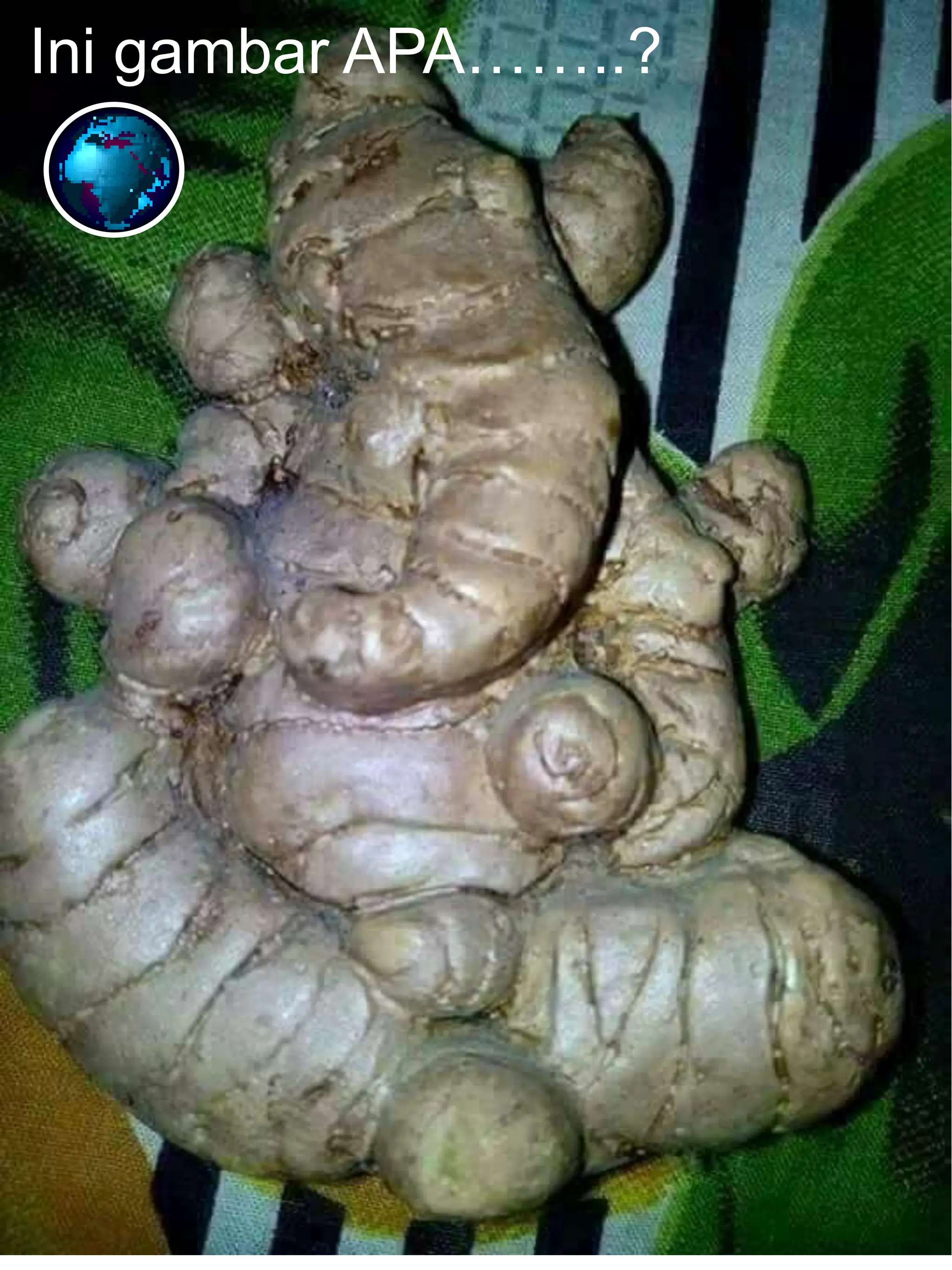 Perbedaan CARA PANDANG _Training "Effective MARKETING and PERSONAL ...