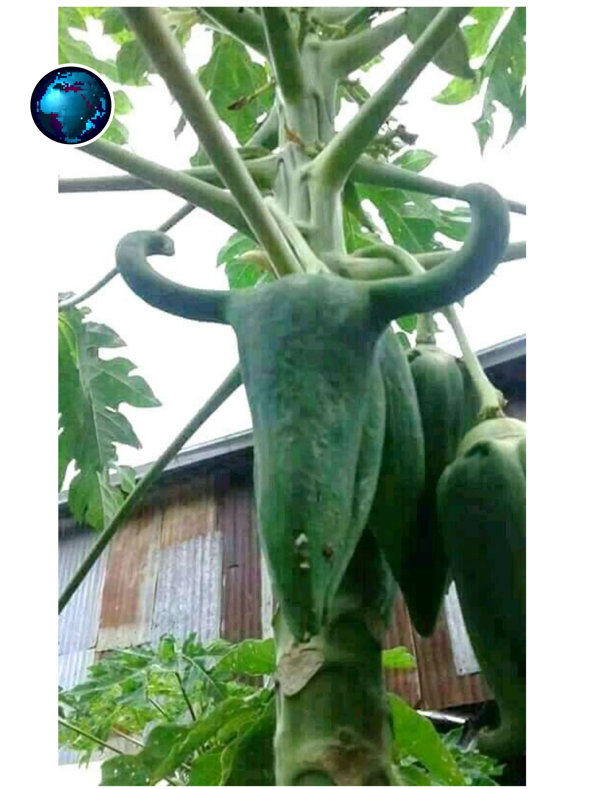 Perbedaan CARA PANDANG _Training "Effective MARKETING and PERSONAL ...