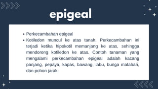 perbedaan epigeal dan hipogeal yang perlu diketahui | PPT