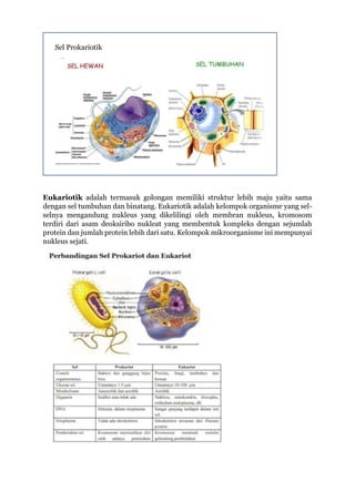 Perbedaan Sel Hewan dan Sel Tumbuhan.docx