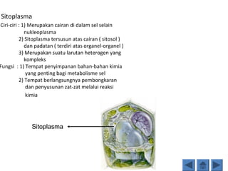 Perbedaan sel hewan dan tumbuhan | PPT