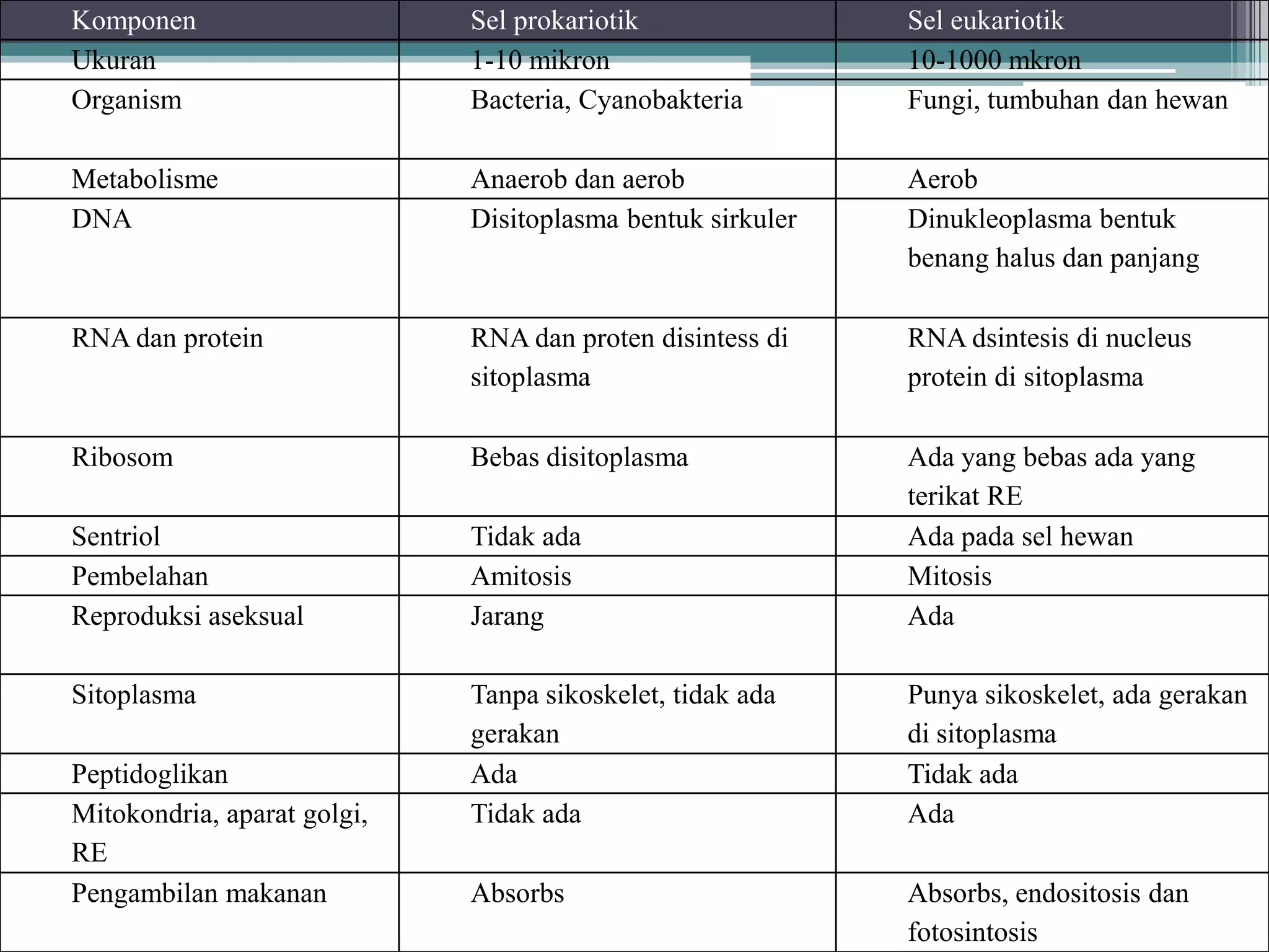 Perbedaan sel prokariotik & prokariotik | PPTX