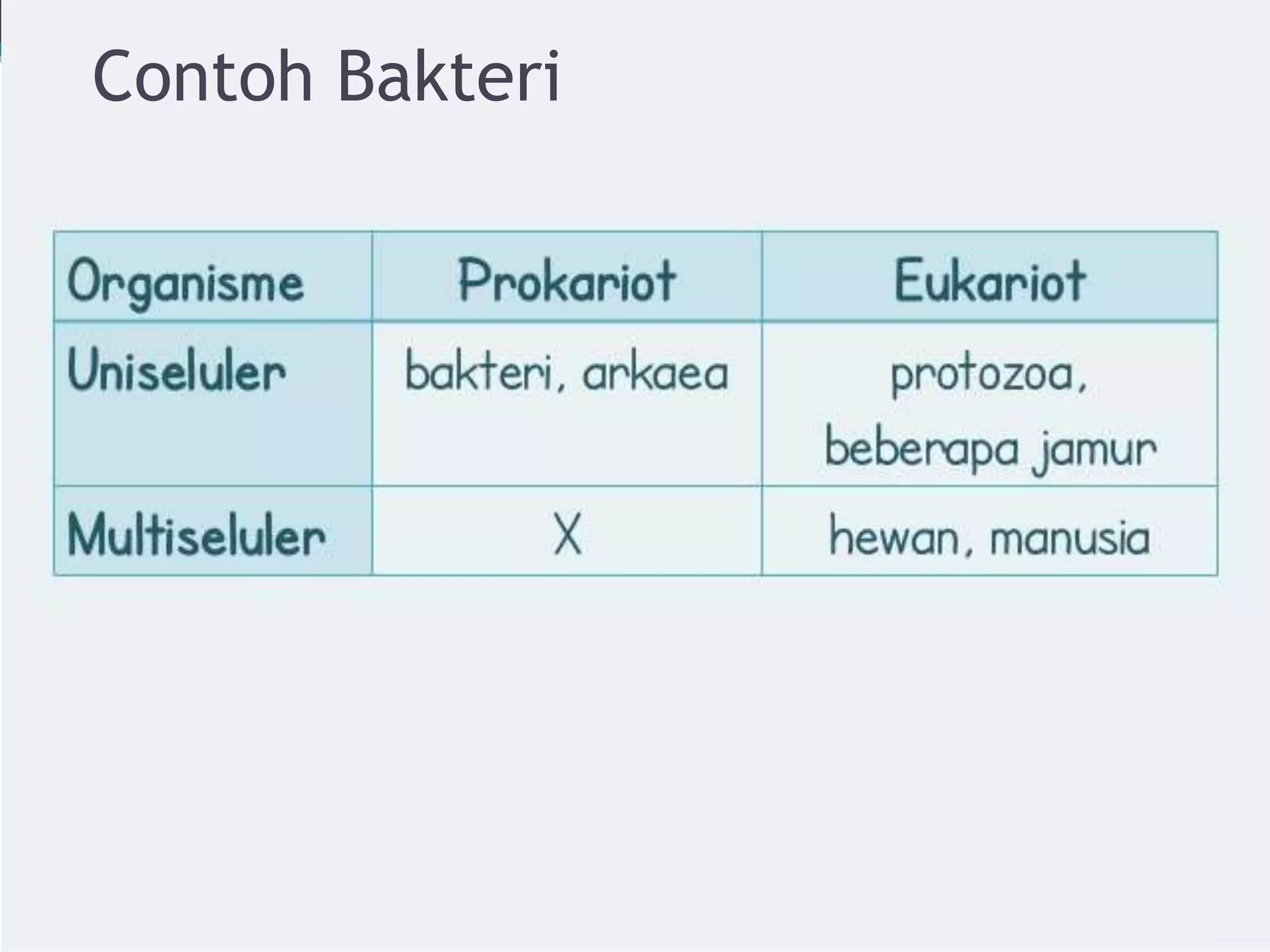 Perbedaan sel prokariotik & prokariotik | PPTX
