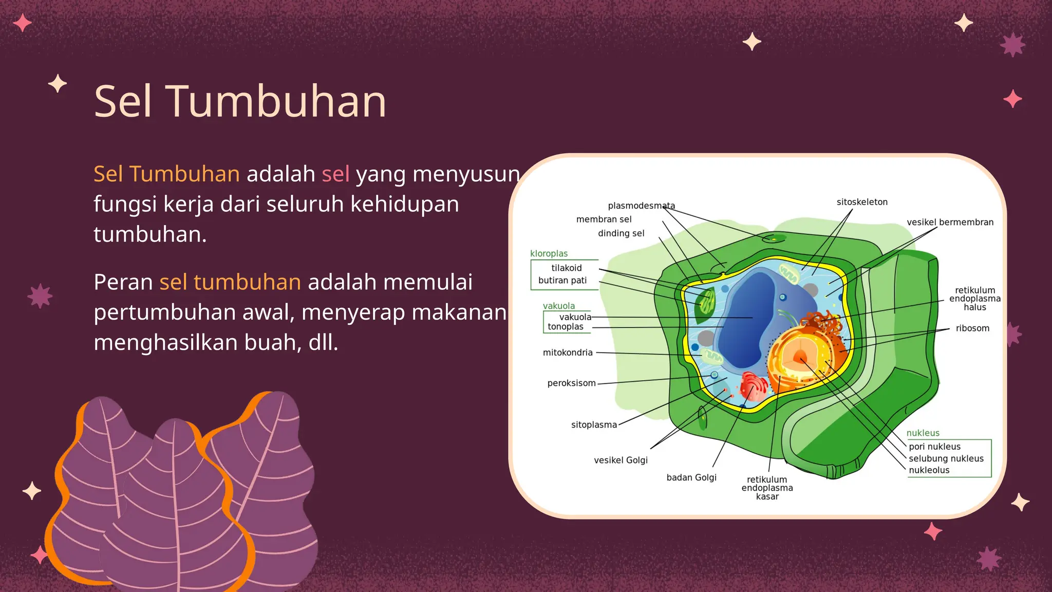 Perbedaan Sel Tumbuhan dan Sel Hewan beserta bagian-bagiannya dan ...