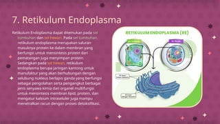 Perbedaan Sel Tumbuhan dan Sel Hewan beserta bagian-bagiannya dan ...