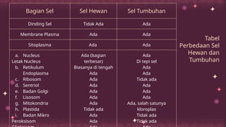 Perbedaan Sel Tumbuhan dan Sel Hewan beserta bagian-bagiannya dan ...