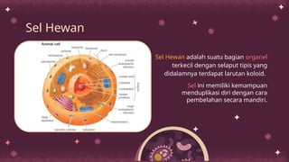 Perbedaan Sel Tumbuhan dan Sel Hewan beserta bagian-bagiannya dan ...