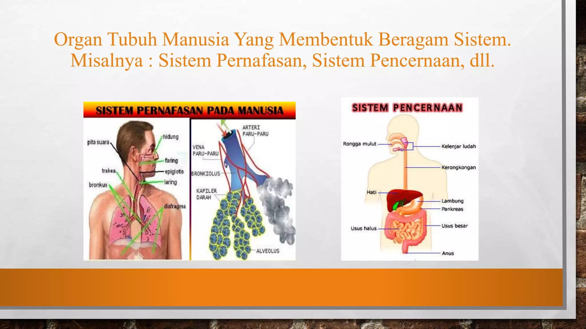 Perbedaan Sistem Linear Dan Non Linear Pptx 2266