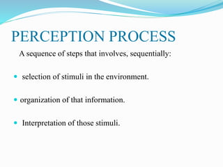 Perceiver, perceived and perception process | PPT