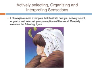Perceiving and believing | PPTX