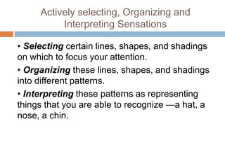 Perceiving and believing | PPTX