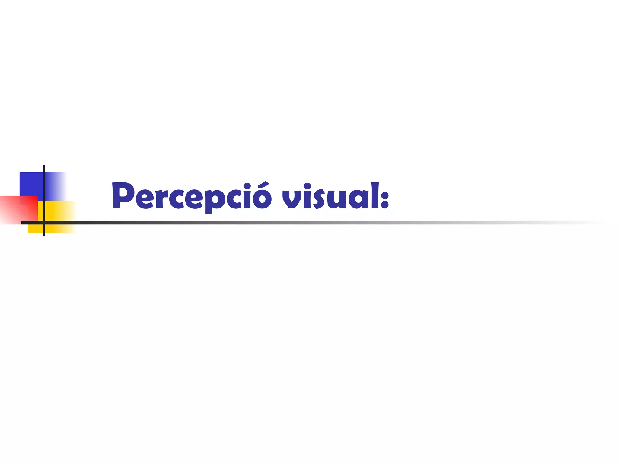 Percepció Visual | PPT
