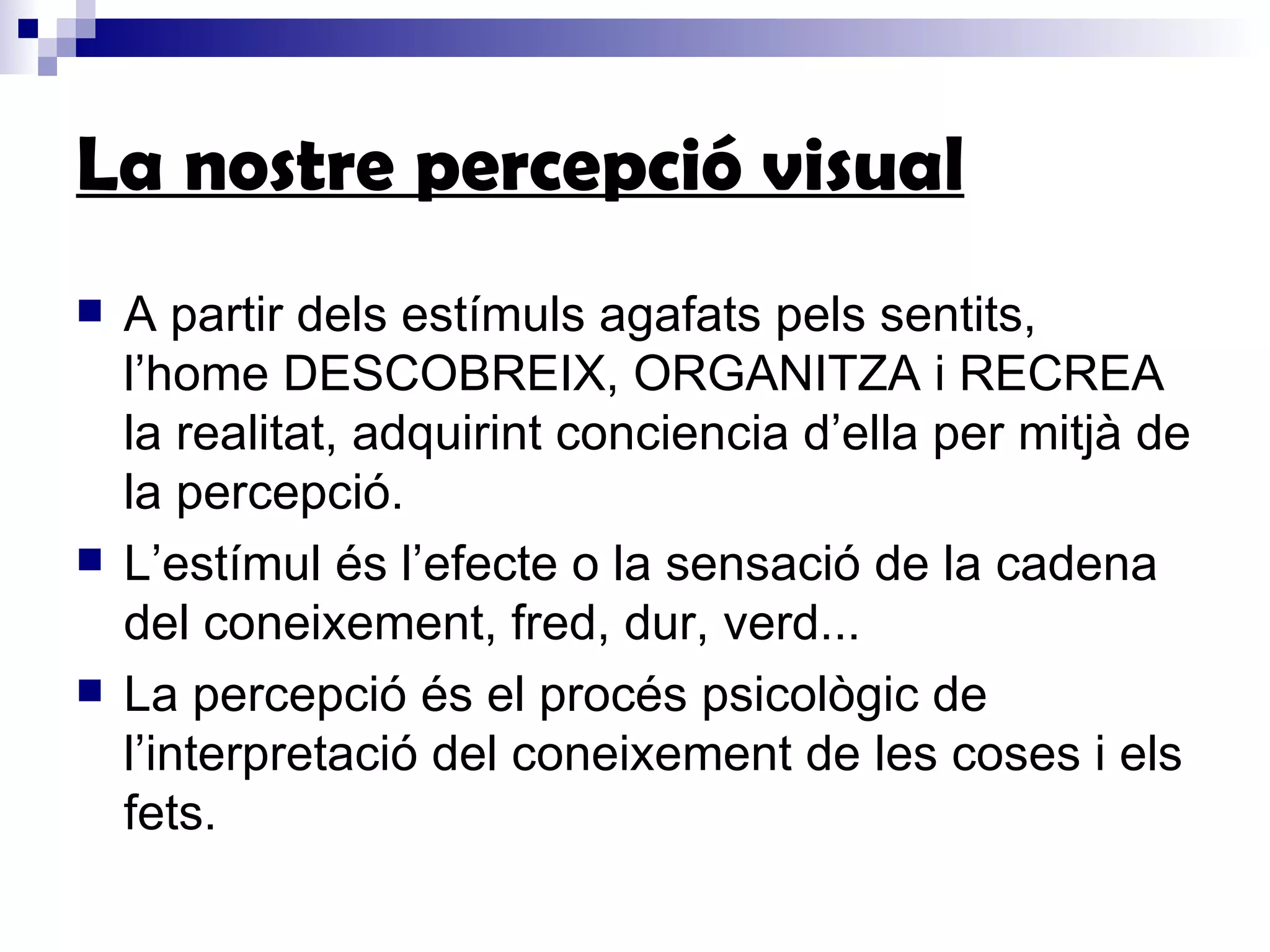 Percepció Visual | PPT