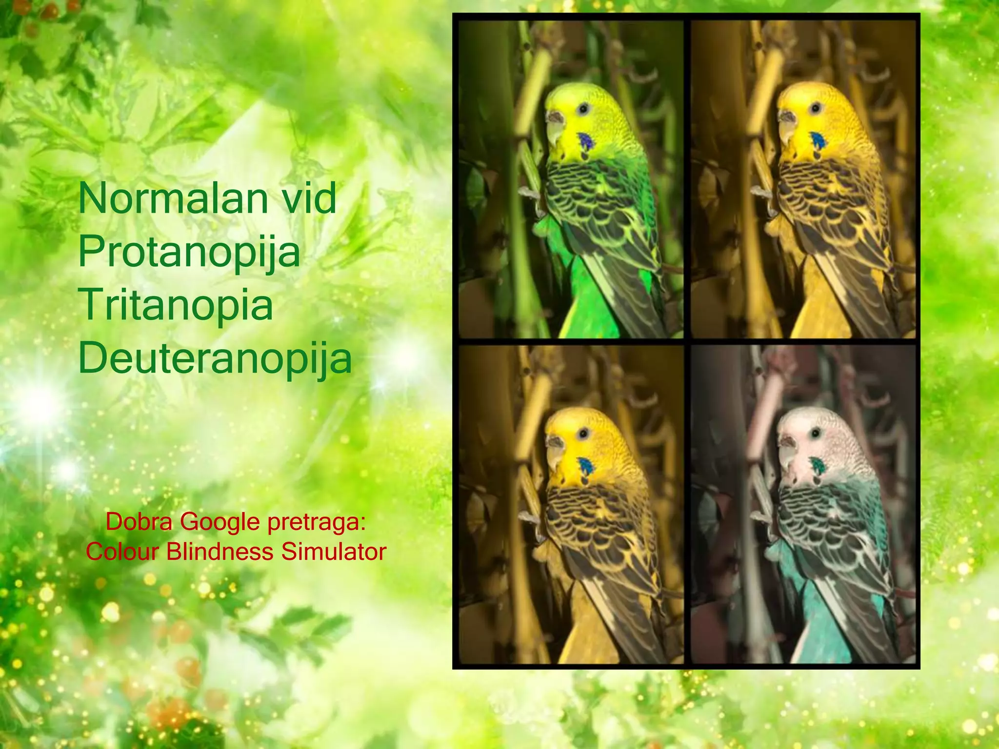 Percepcija ponavljanje/ gimnazija | PPT