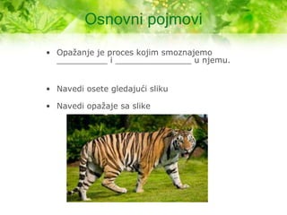 Percepcija ponavljanje/ gimnazija | PPTX