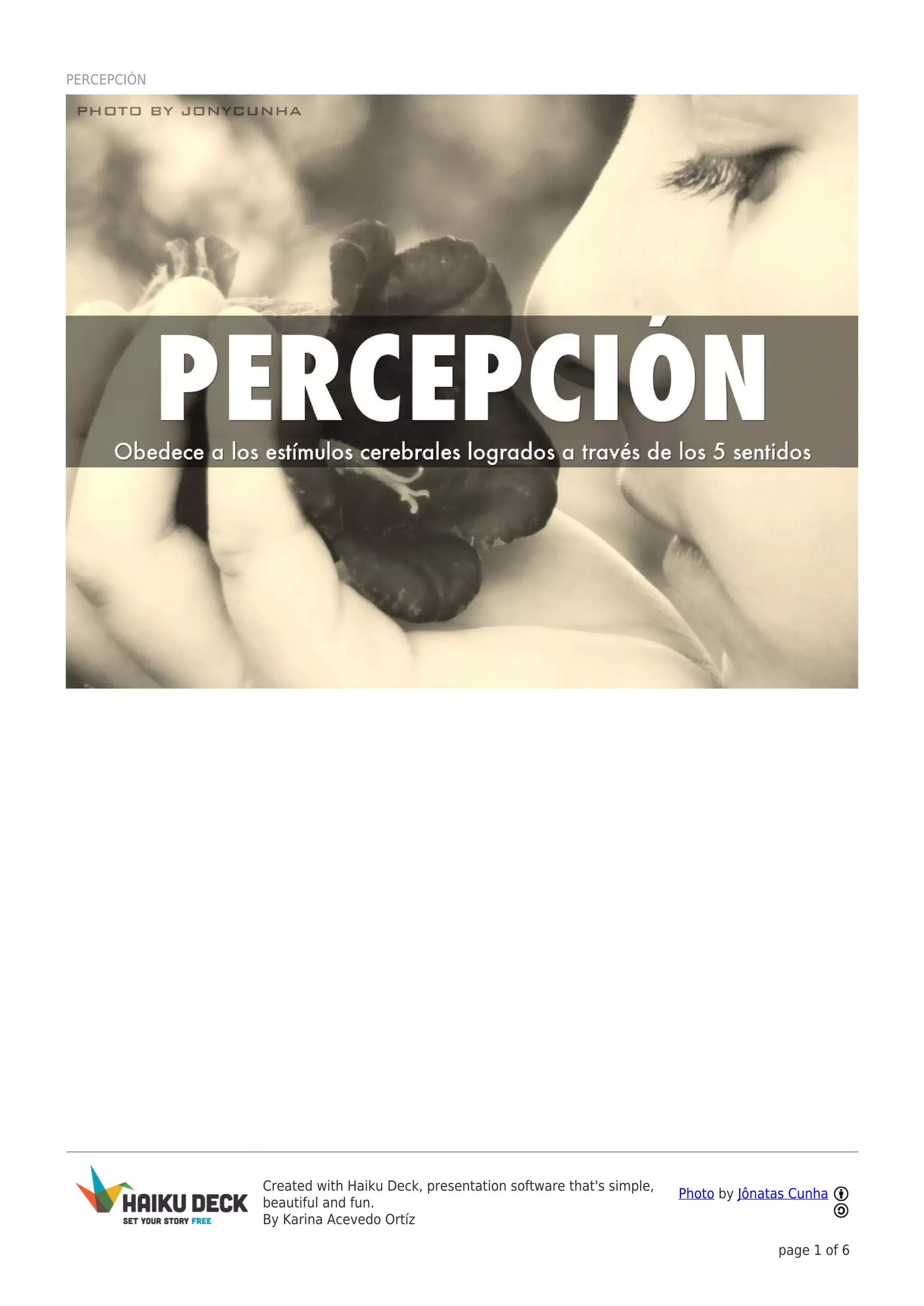 Percepción 2da Clase | PDF