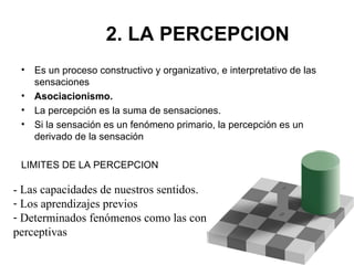 Percepcion | PPT