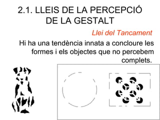 Percepcion | PPT