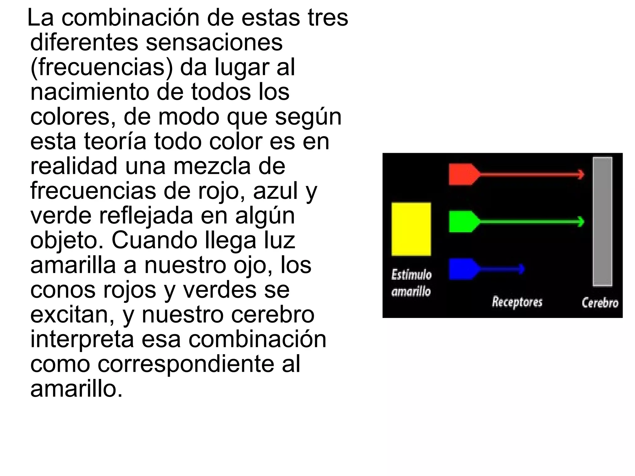 Percepcion del color 2010 | PPT