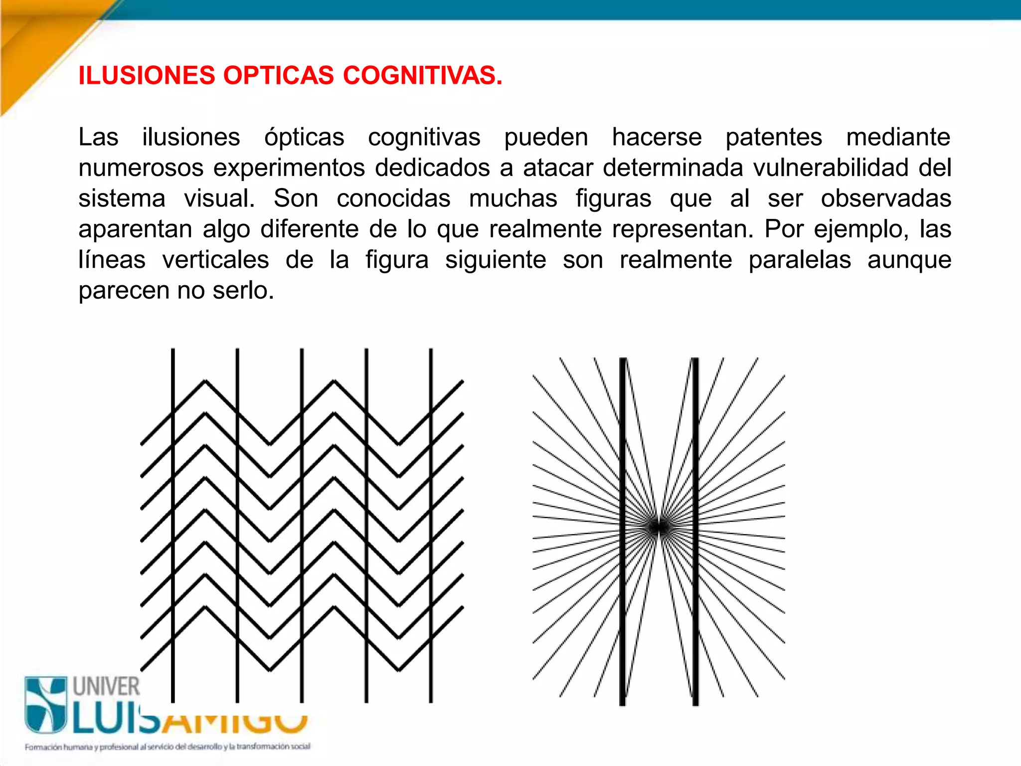 percepcion e ilusiones opticas.pptx