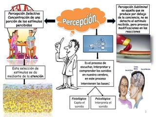Ejemplos de Sensación y Percepción: Descubre cómo interpretamos el mundo