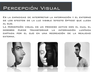 Percepcion visual | PDF