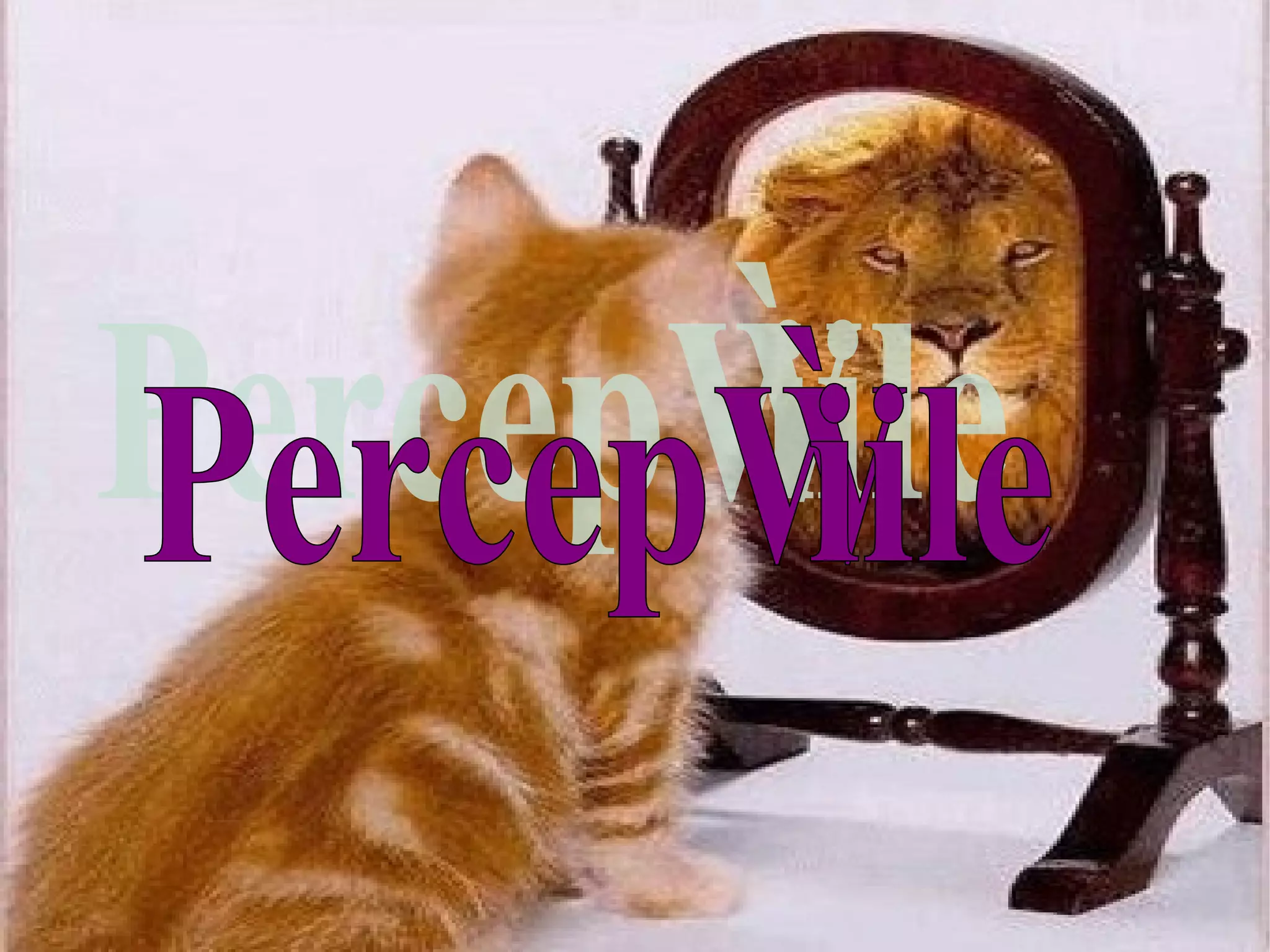 Perceptia-clasa X | PPT