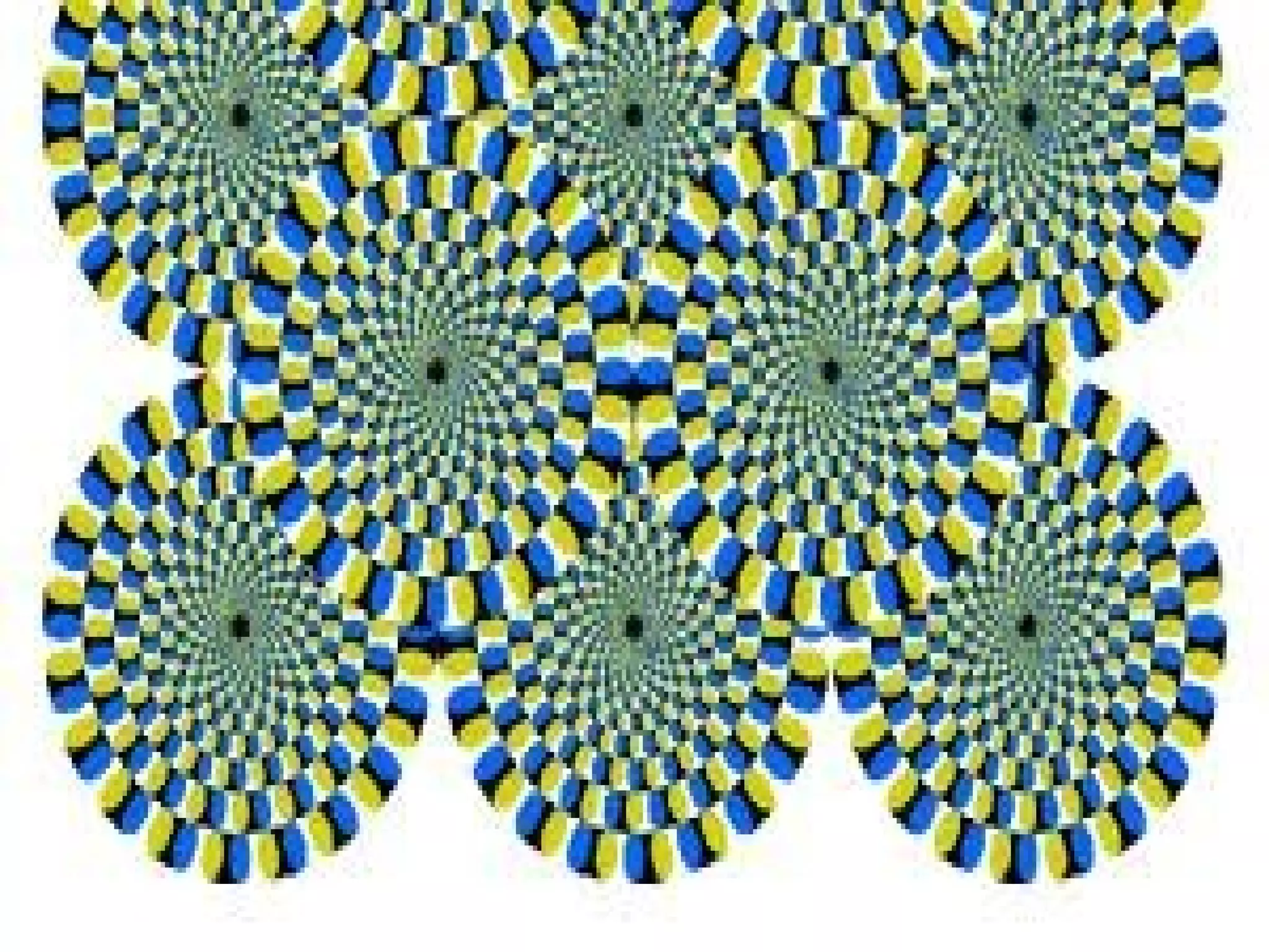 Perceptia-clasa X | PPT