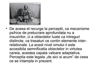 Perceptii | PPT