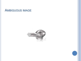 Ambiguous Images Perception