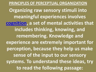Perception | PPT