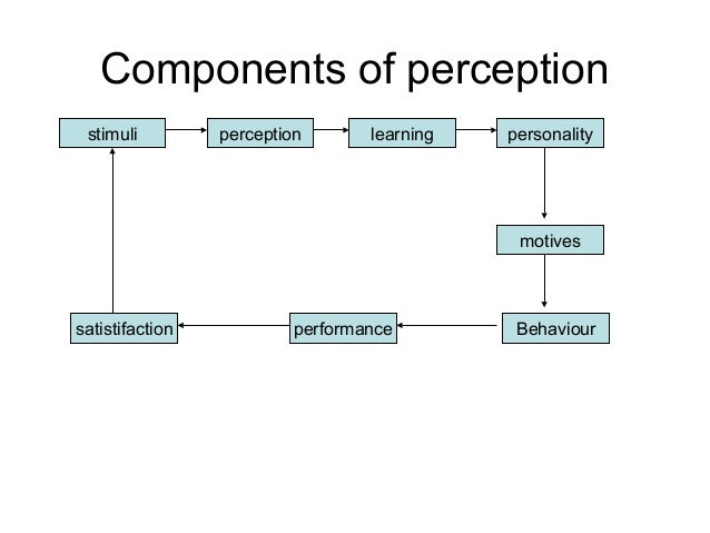Perception