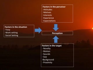 Perception | PPT | Science
