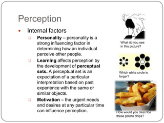 Perception | PPTX