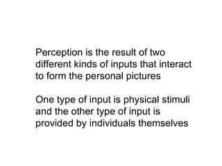 Perception | PPT