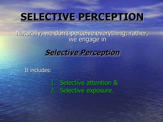 Perception | PPT